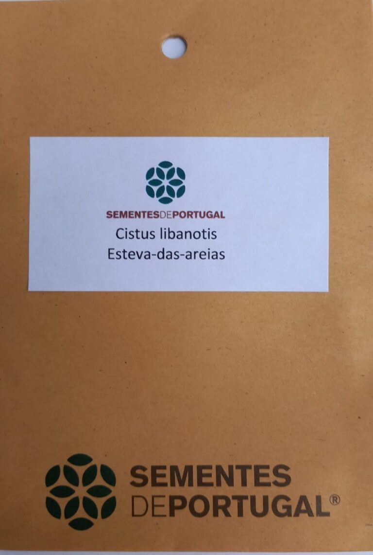 Esteva das areias | Sementes de Portugal